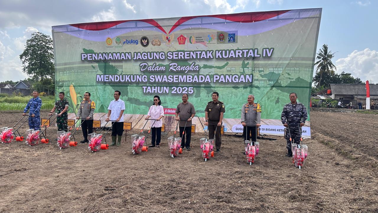 Penanaman Jagung Serentak Kuartal IV Tahun 2025 – KEJAKSAAN TINGGI ...